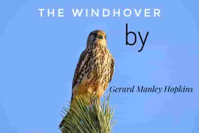 The Windhover Poem Summary