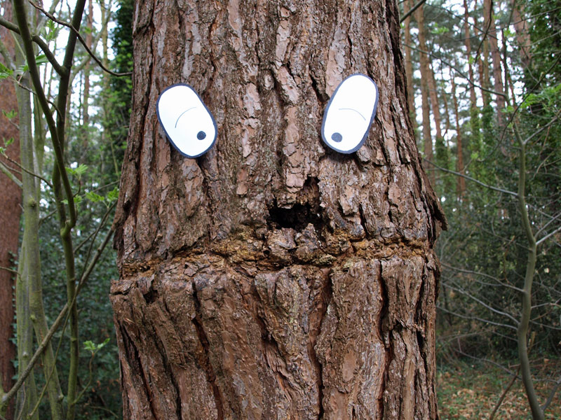 Scaryduck: Not Scary. Not a Duck: A tree that looks like Adolf Hitler