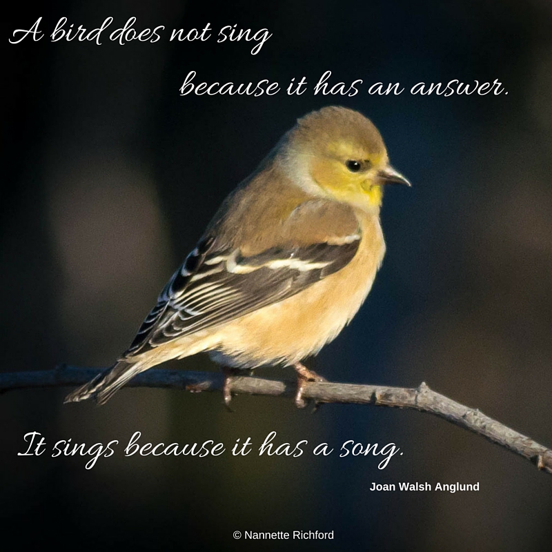 In the Direction of Dreams