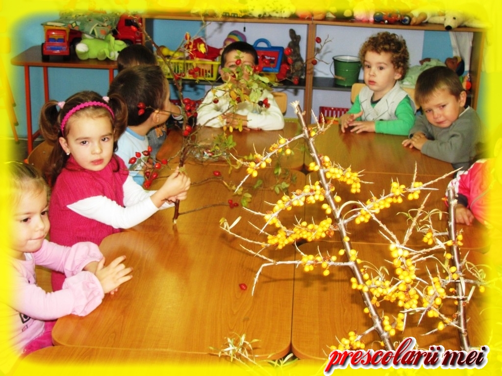 PRESCOLARII MEI: COSUL DULCE AL TOAMNEI (1)