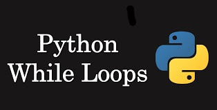 while loop in Python.