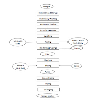 Process flow sheets: Mango leather production process