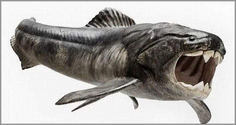 Sapienciario de culturemas: Misterios de nuestro mundo y del universo ...