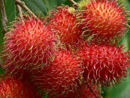 jenis jenis rambutan