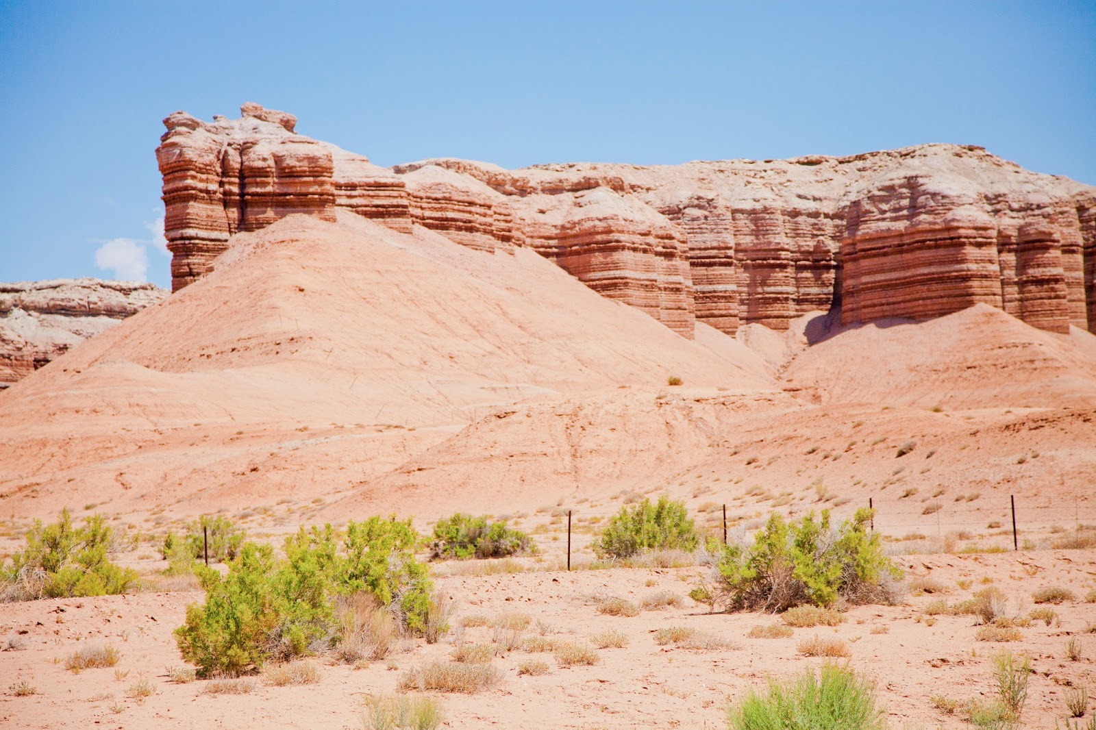 Genealogy's Star: Peeling Back the Layers