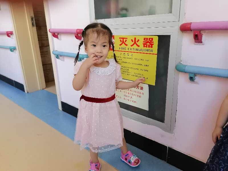 Little Flower Projects: 2020