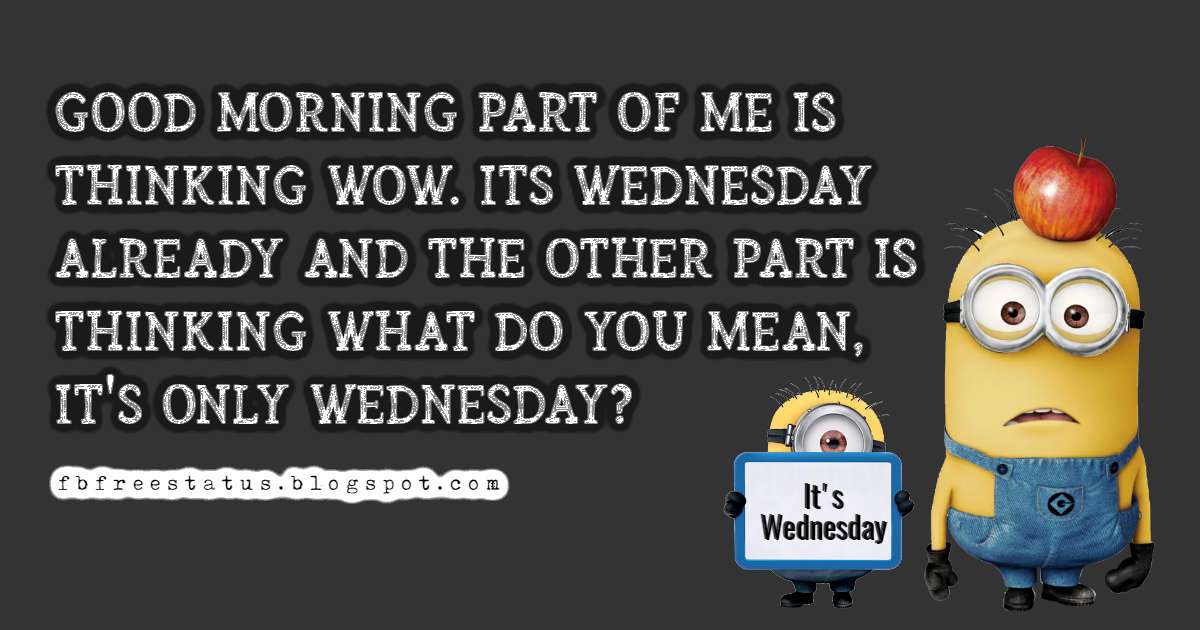 Funny Wednesday Meme, Images, Pictures And Photos