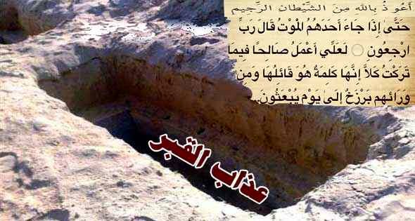 شبكة ابو يوسف