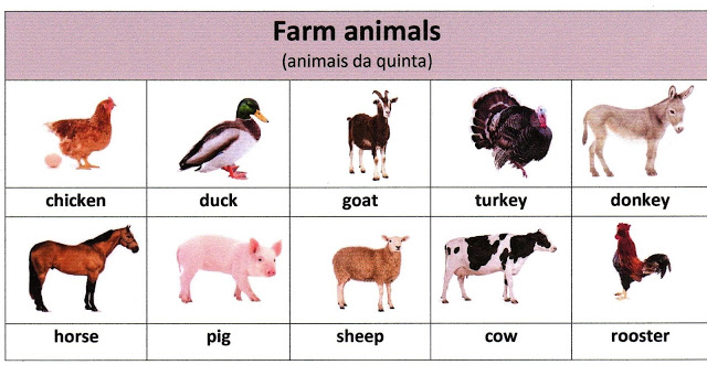 Practice makes perfect: Farm animals and zoo animals (4º ano)