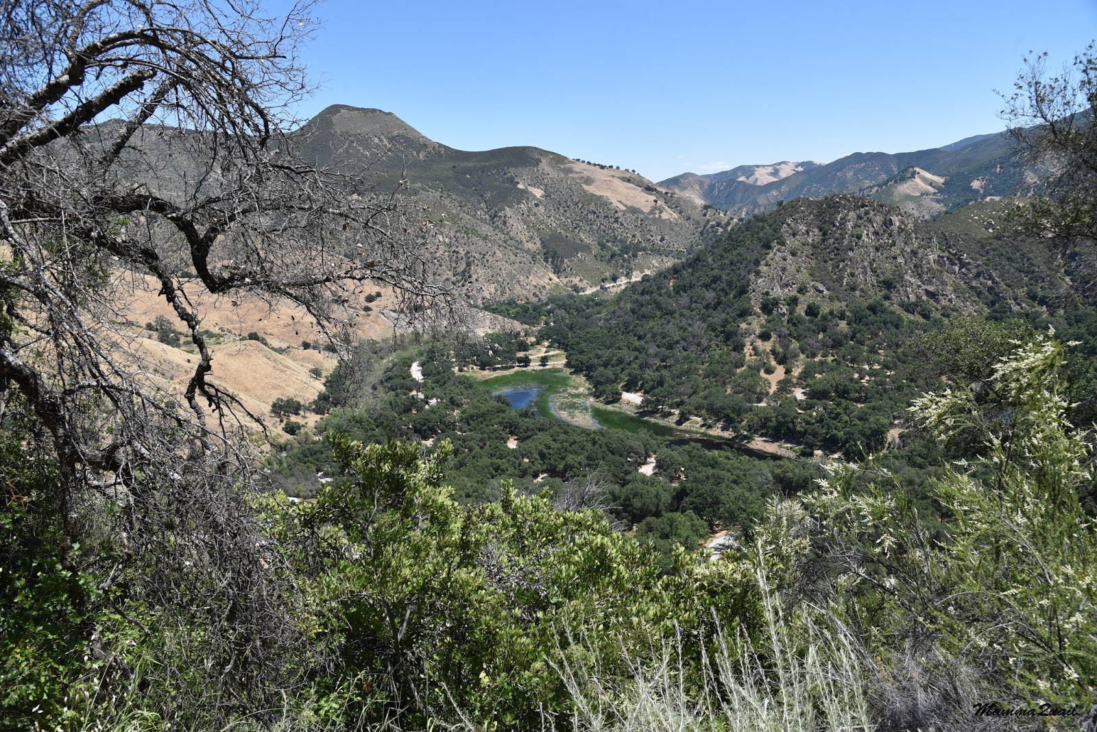 Mamma Quail Hiking California : The Gorgeous Gorge of Arroyo Seco