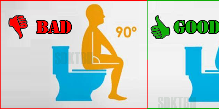 Learn To Poop Quickly When You Don’t Have A Lot Of Time ~ Saale Dost Ko ...