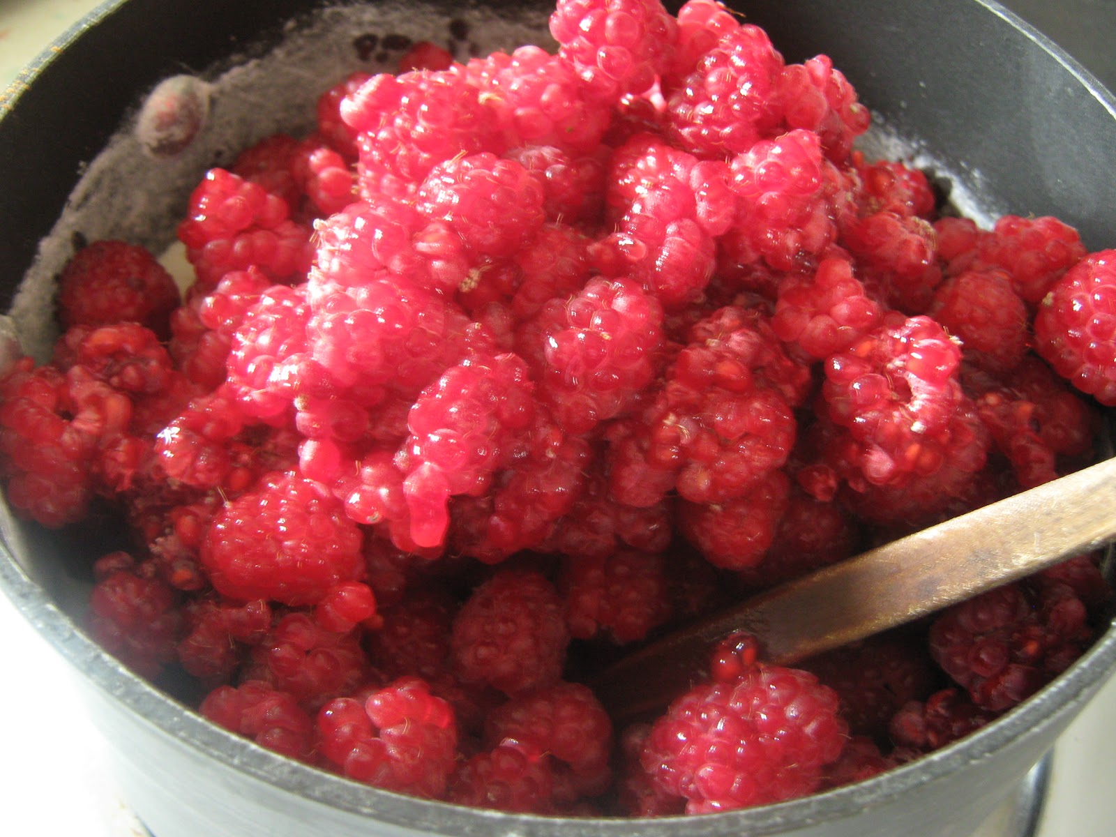 Rindy Mae: Raspberry Bars