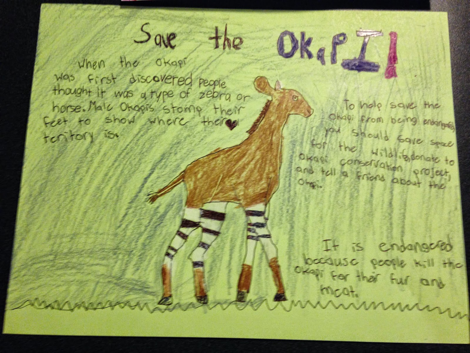 Kapers, Cookies, and Campfires: Junior Girl Scouts badge: Animal Habitats