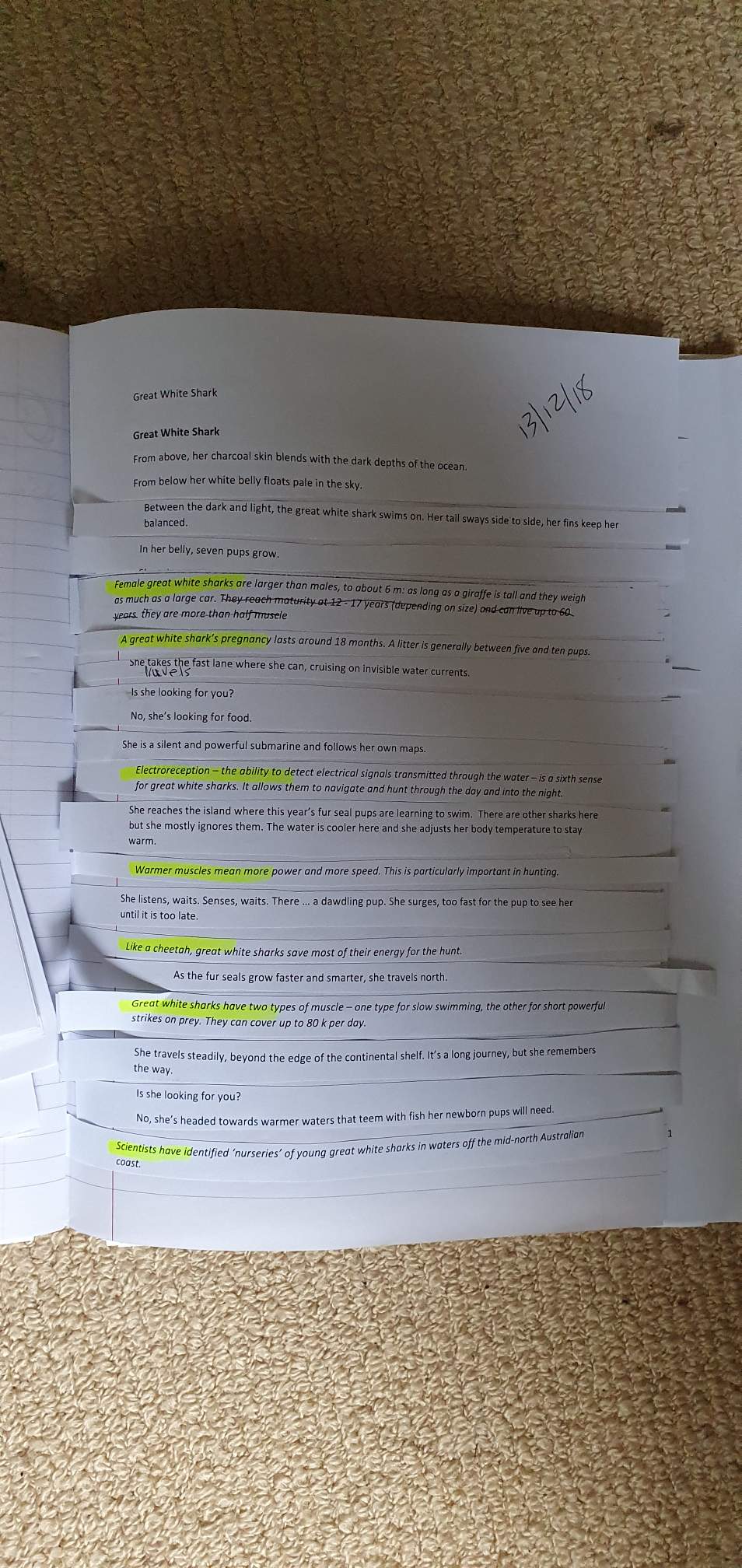 Kids' Book Review: Guest Post: Claire Saxby on Writing Great White Shark