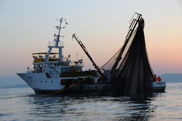 Equipos Portuarios: TIPOS DE BUQUES
