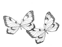 Creative Writing On the Trail: Two Butterflies Went out at Noon