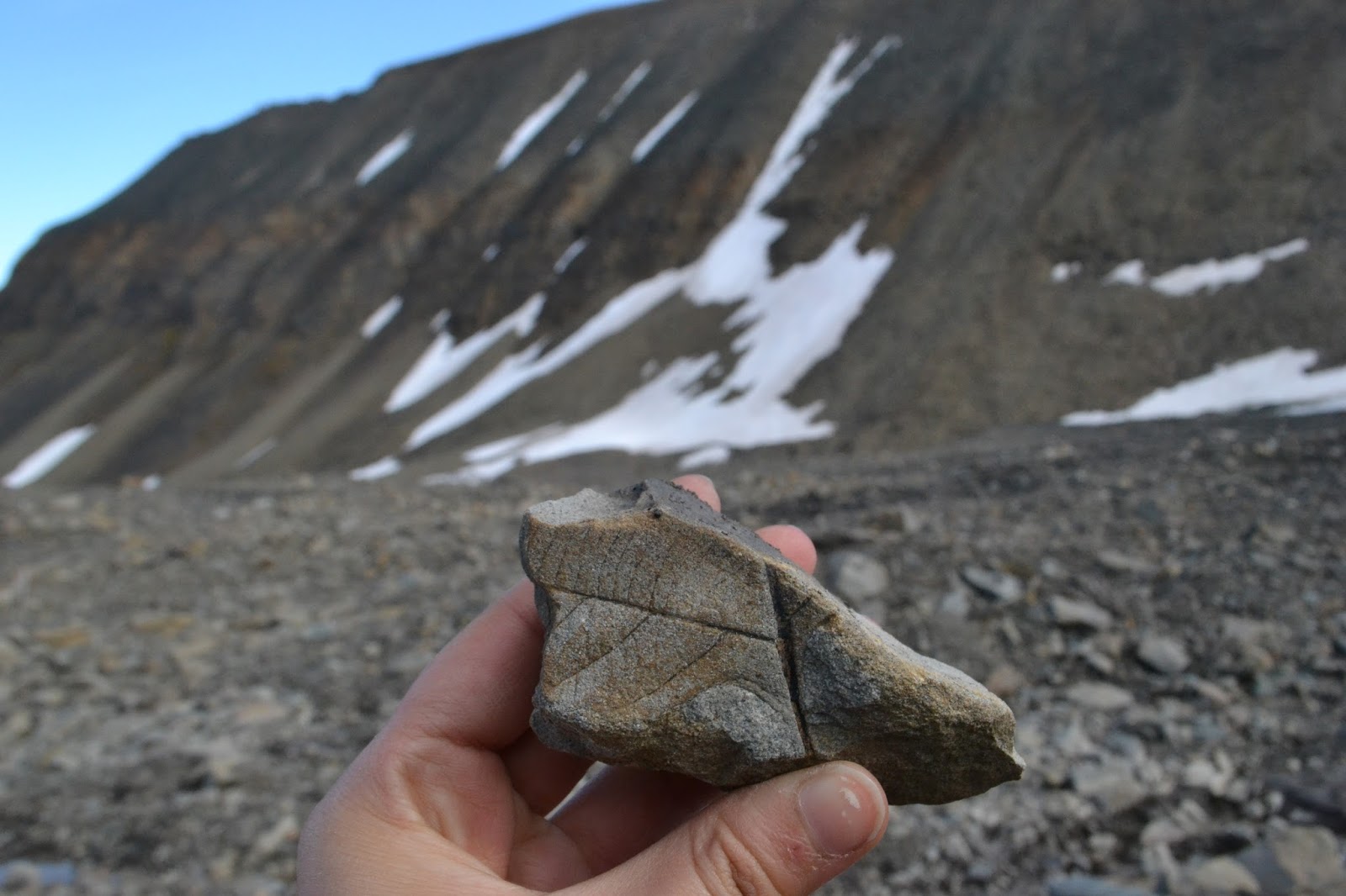 Travel Log, my stories around the world : Svalbard: Hike to ...