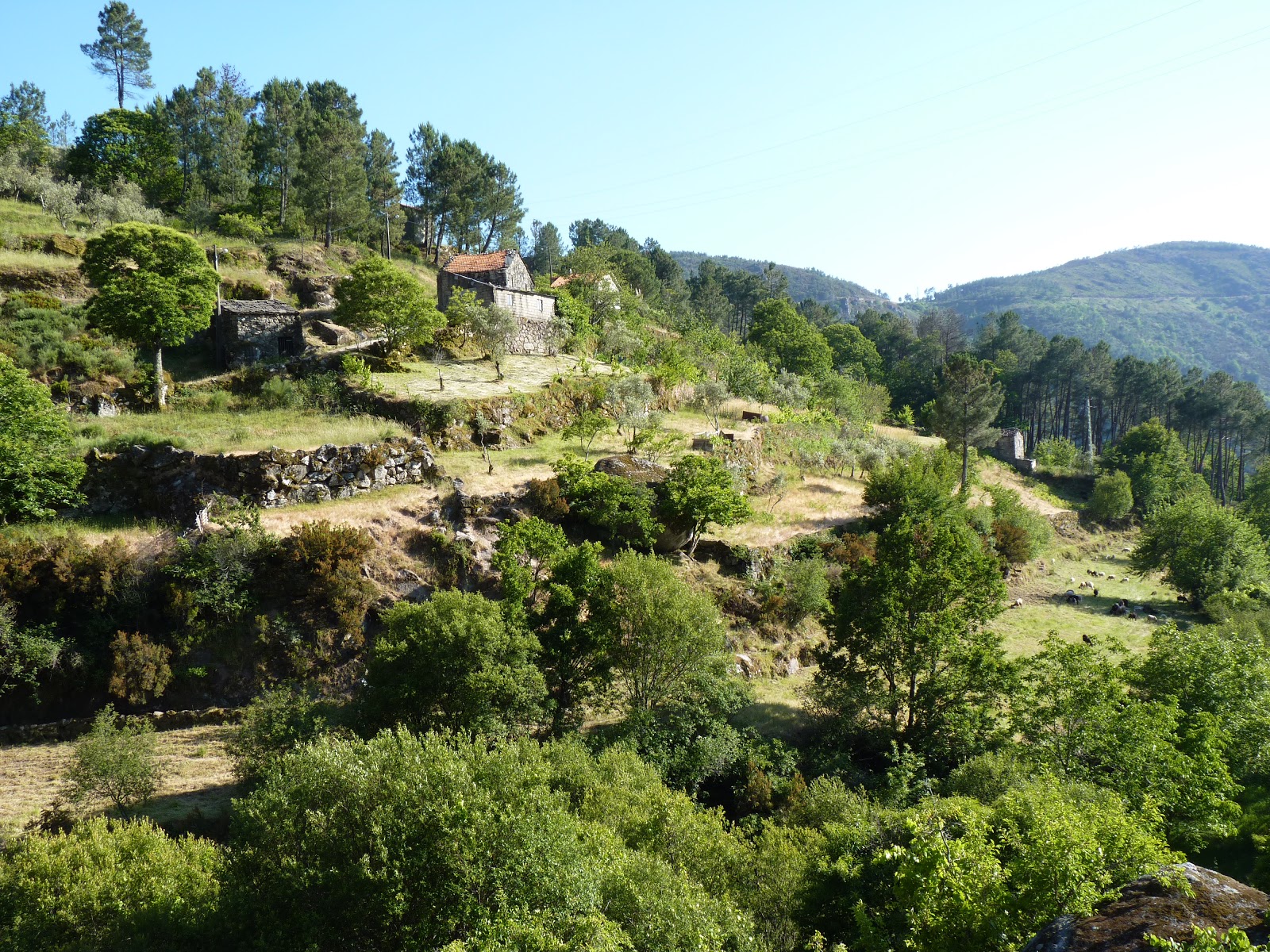 109ª Caminhada: Trilho Garganta de Loriga à Lupa