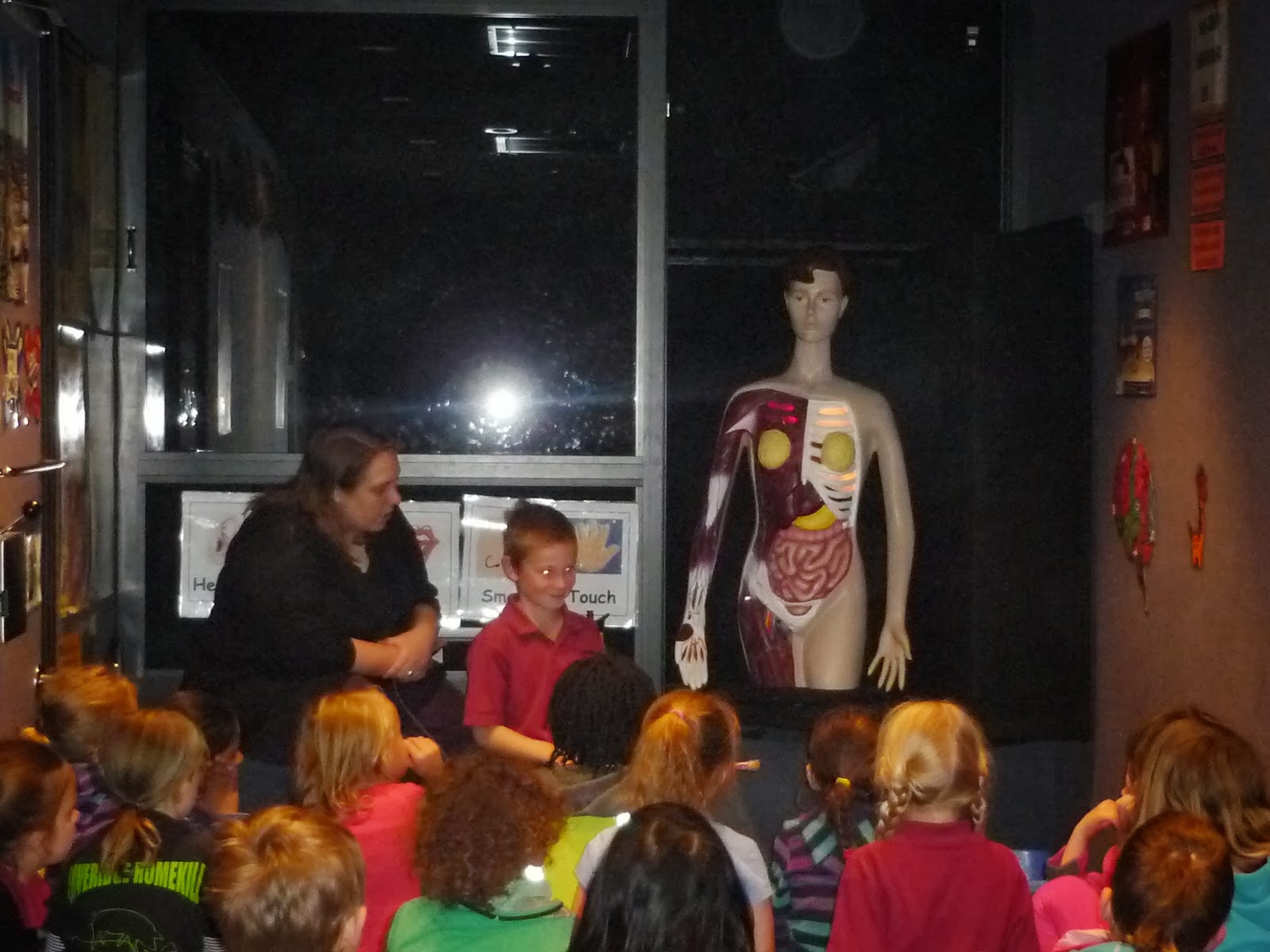 Welcome to Team Pukeko: Life Education Bus