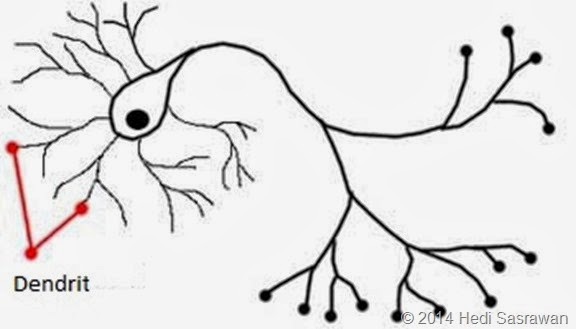 Pengertian Dendrit Lengkap | MATERI PELAJARAN SEKOLAH