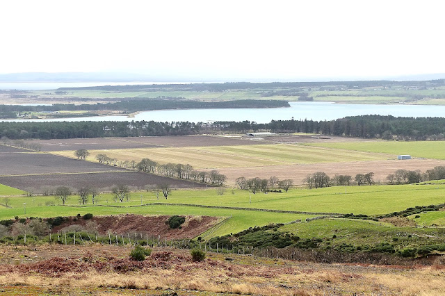 The Memory Wanderer: Culmaily Hut Circle