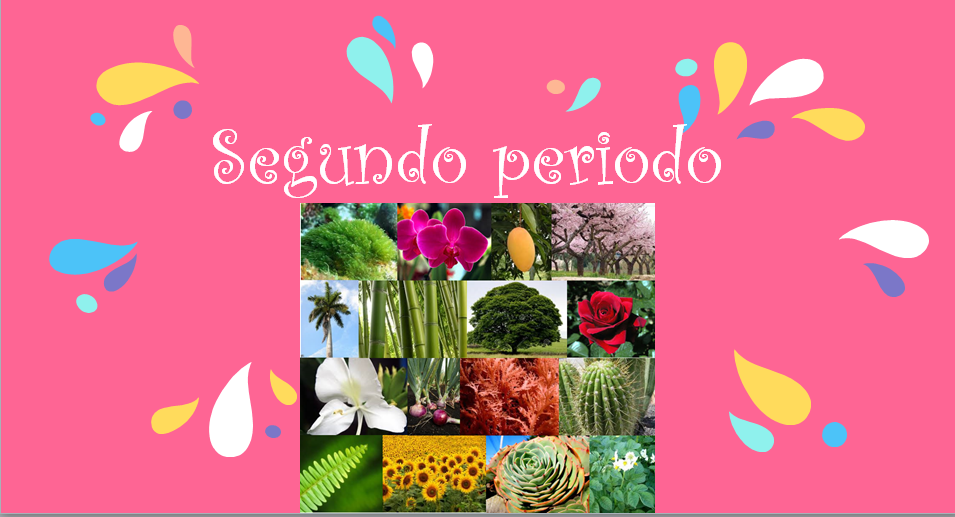 SEGUNDO PERIODO SEMANA 1 19 AL 23 DE ABRIL