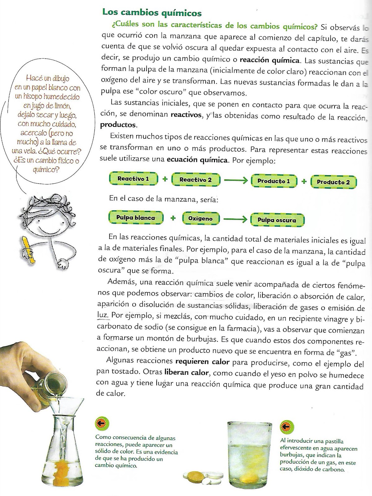 Bloque 3 Ciencias Naturales Septimo Grado Images
