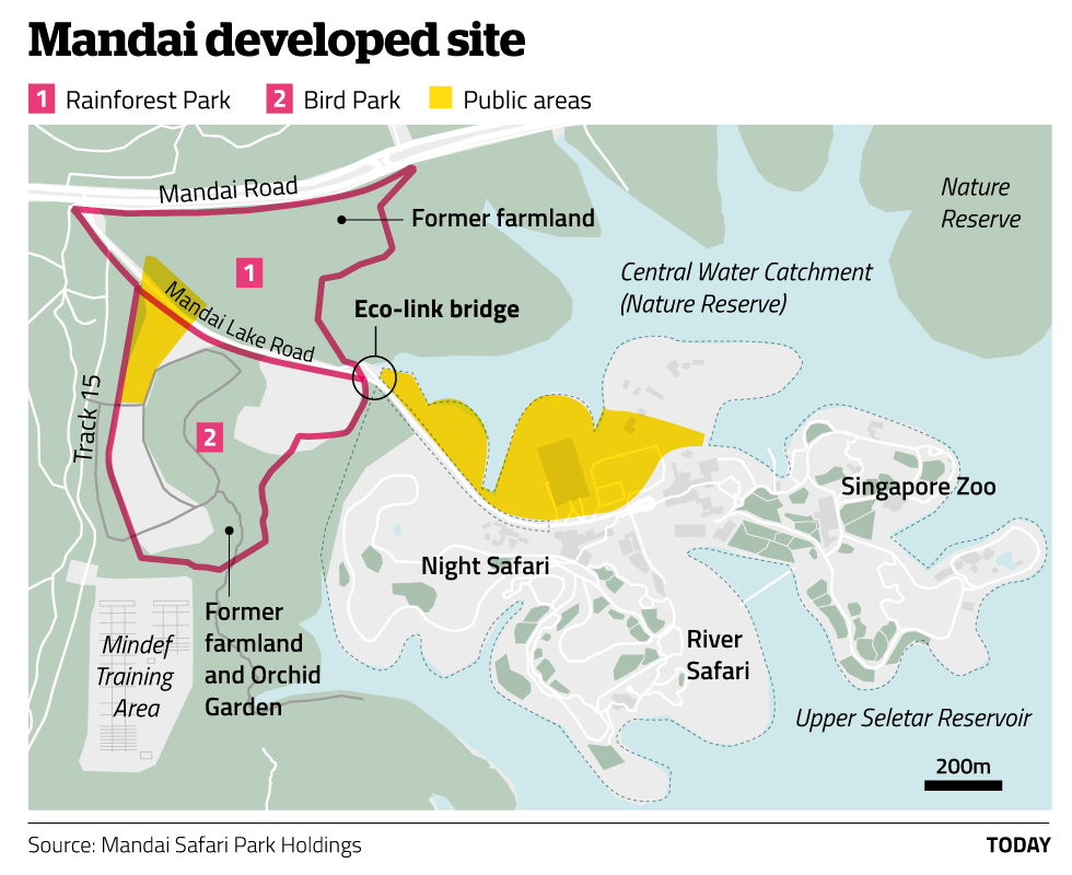 wildsingapore news: Impact on existing wildlife, plants among concerns ...