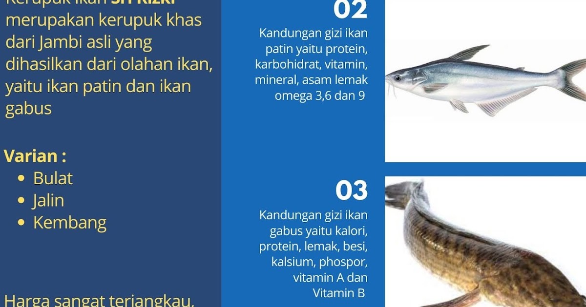 Infografis Kerupuk Ikan