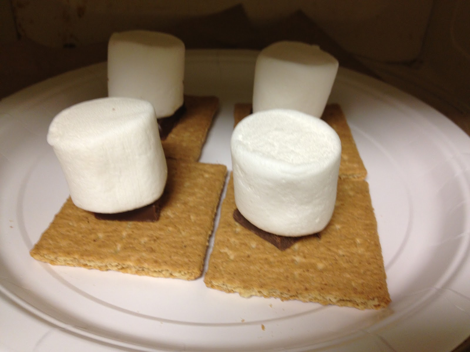 First Grade Spies: Last week of school = Camping and S'mores!