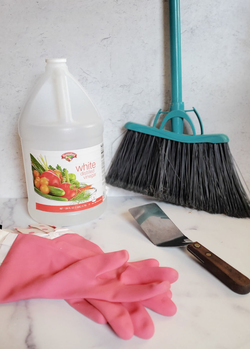 Spring Chicken Coop Cleaning - Fresh Eggs Daily® with Lisa Steele