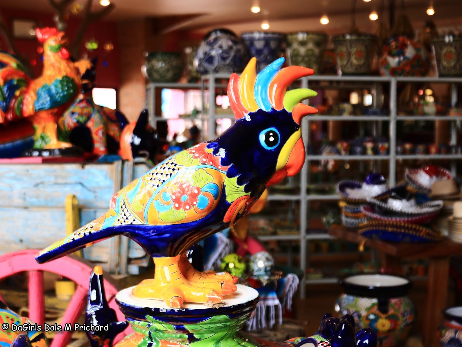 DaGirls Rv Travels: Columbus, NM & Palomas, Chihuahua, Mx