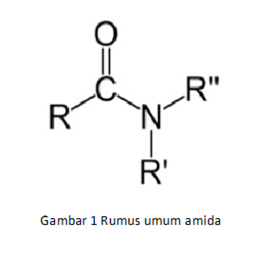 Malik N Organic Chemistry II: AMIDA (KIMIA ORGANIK II)