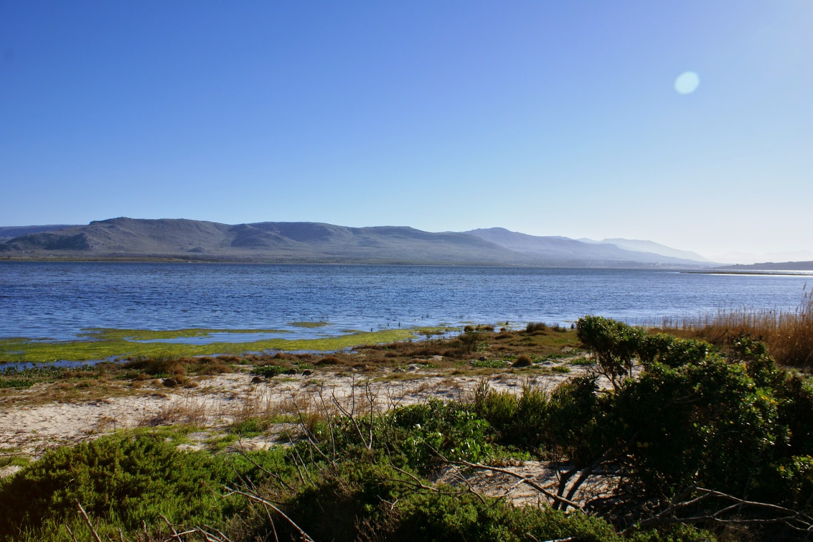 Keller Williams Realty: Hermanus Whale Coast Properties: Fisherhaven ...