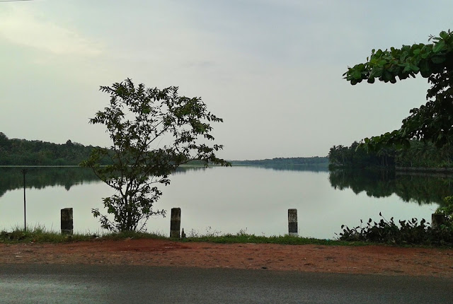 Travel and Nature: Vellayani Kayal (Riverside of Vellayani)