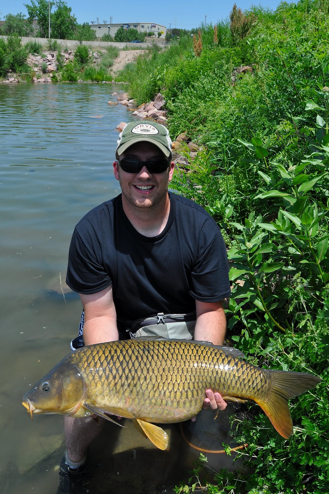 Colorado Fly Fishing Magazine: Giant Carp Out Of A Local Lake Landed 6 ...