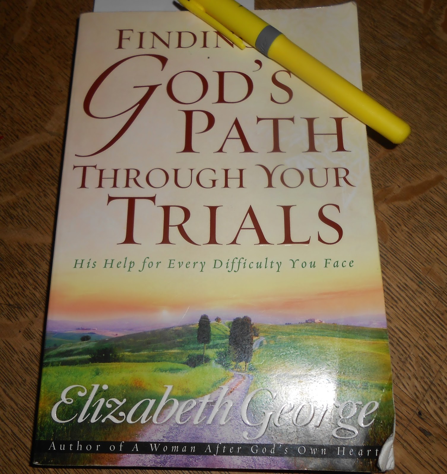 Across My Kitchen Table: Some books that might be of special benefit ...