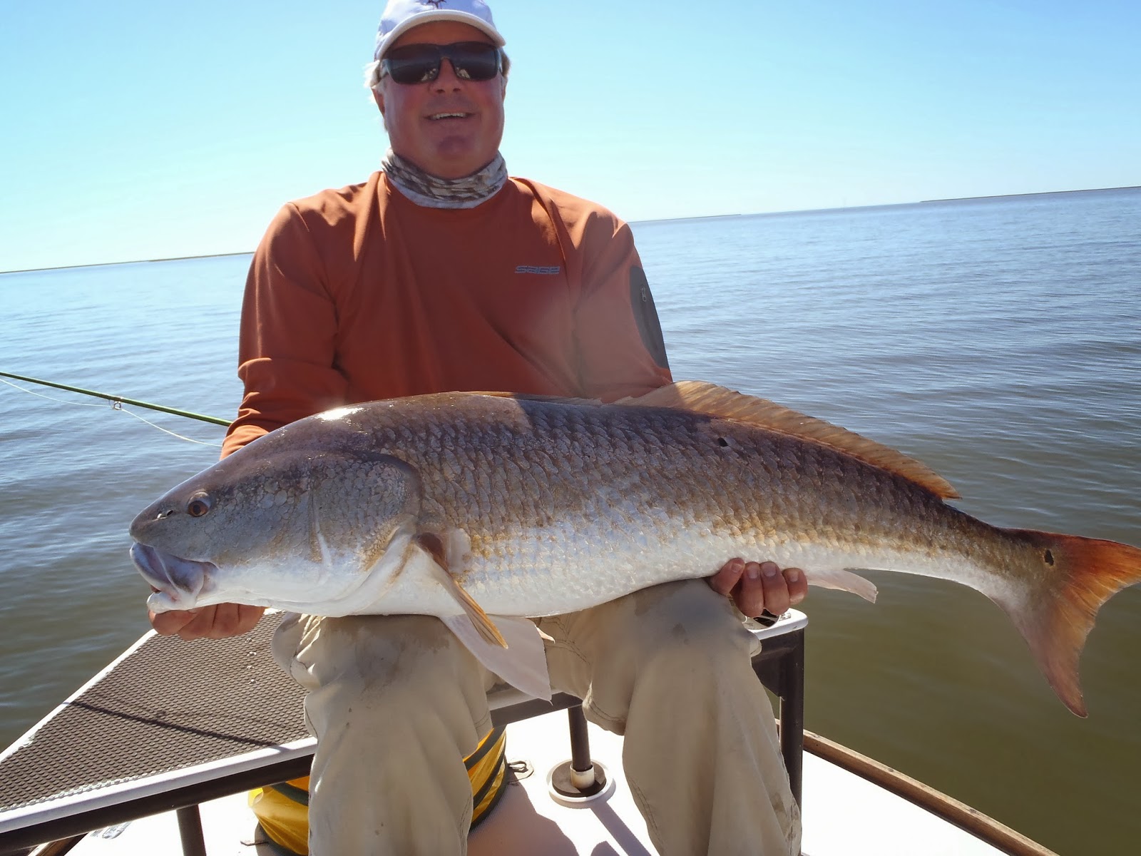 Redfishing Louisiana - A Guides Journey: Aggressive November redfish