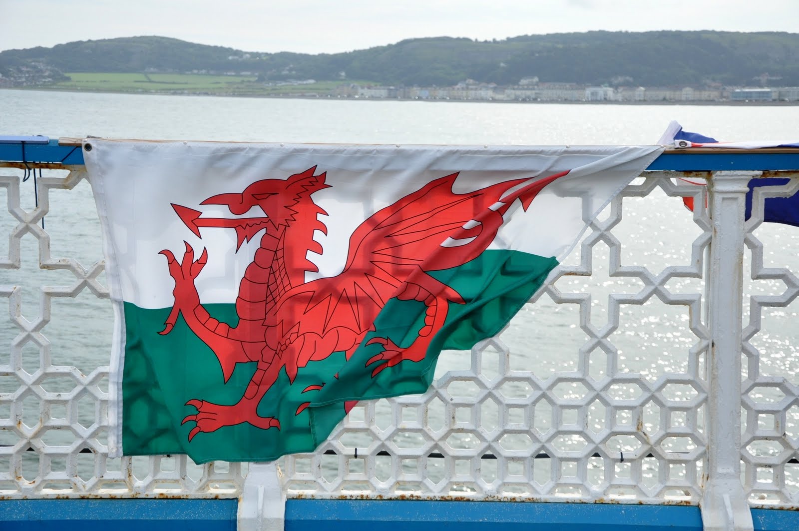 peppercorns in my pocket: Araf, araf, araf