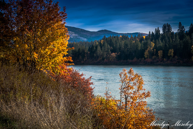 A Season of Splendor | Mountain Top Spice