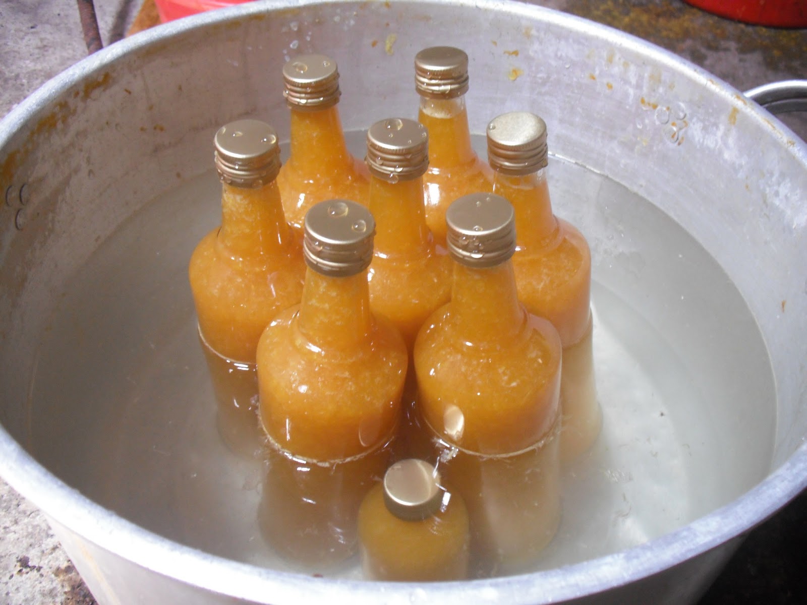 Bubur Buah Markisa/ Passion fruit Pulp Center : Product