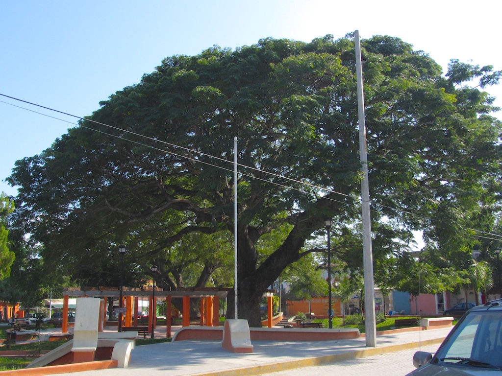 las bellezas naturales de la costa: fiesta patronal de san pedro ...
