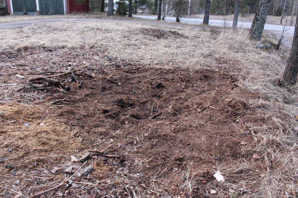 Livet på Lillgård: Myrstack!