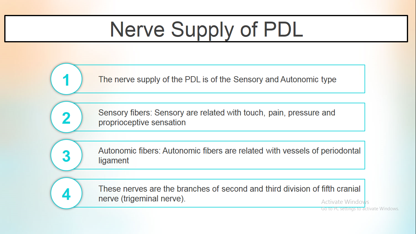 Periodontal Ligament PDL [Quick Notes With Charts and Diagrams For Exams]