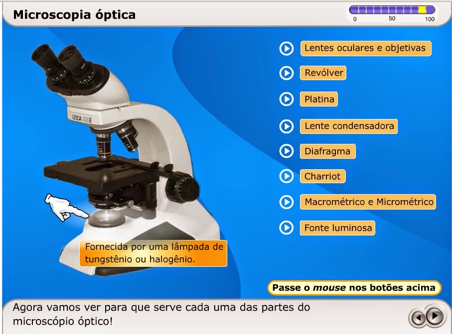 Descreva O Funcionamento Básico De Um Microscópio óptico - RETOEDU