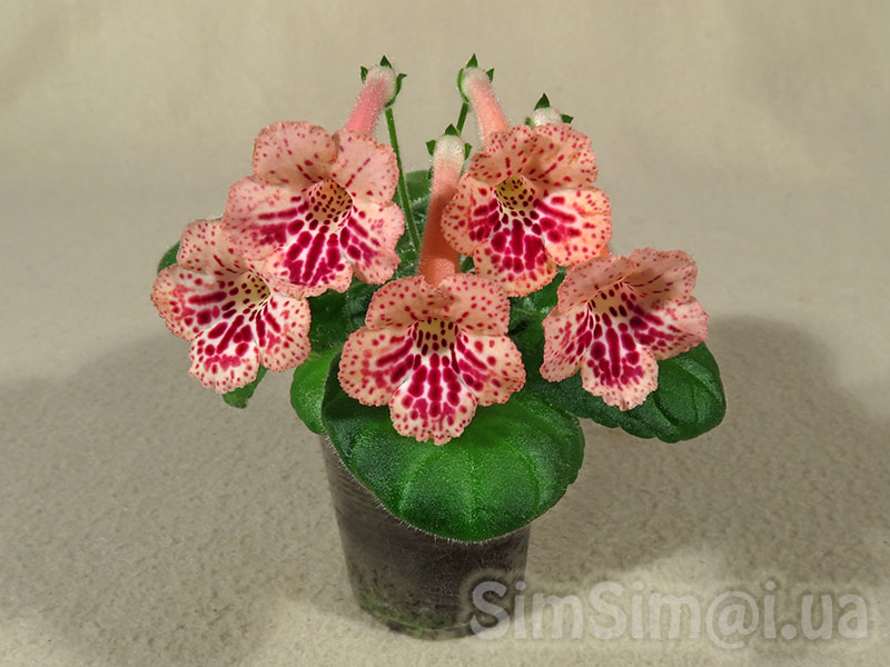 Beauty will save the world!!!