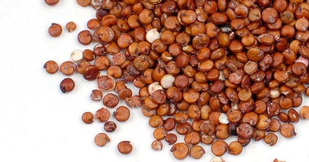 A Harmony of Flavors: Red Quinoa and Black Rice