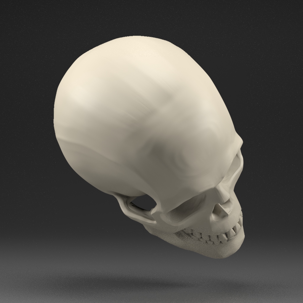 skull