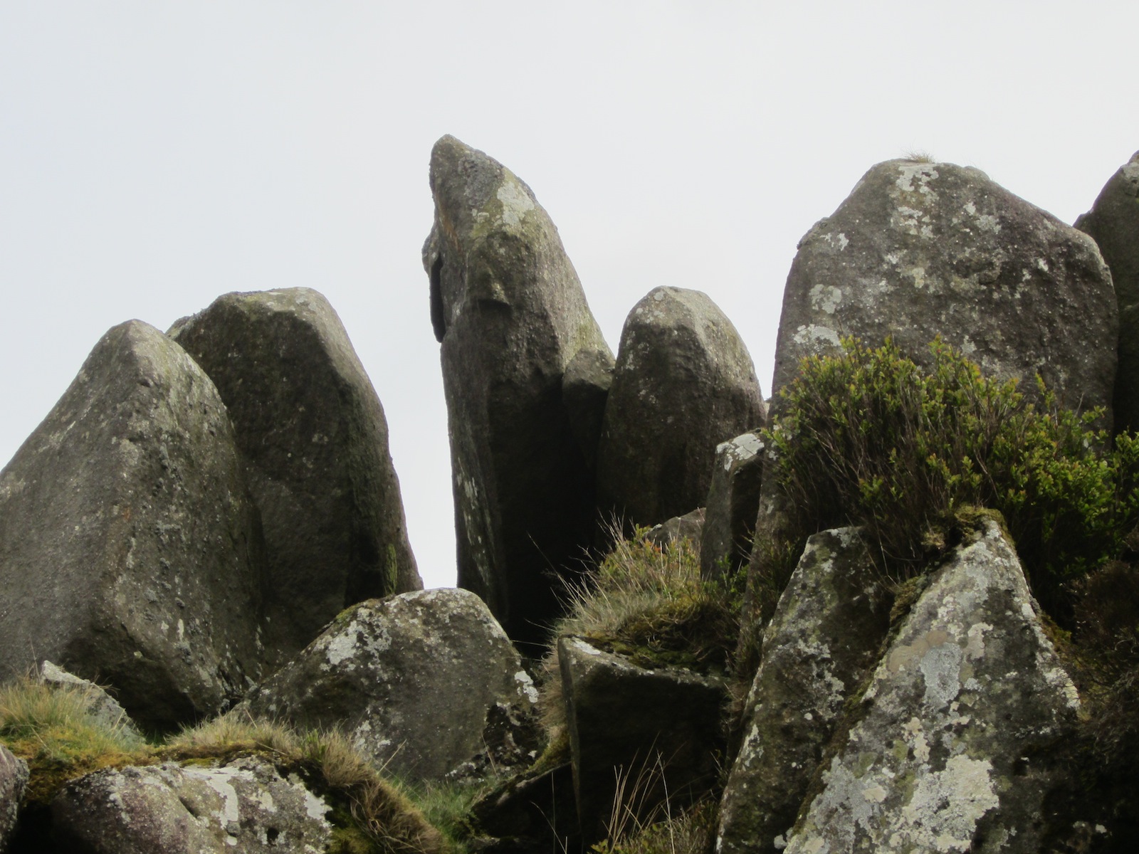 Stonehenge and the Ice Age: Carn Goedog -- have the quarry hunters gone ...
