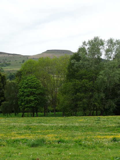 RAMBLES FROM MY CHAIR: The Bridge and Bullpit Meadow, Crickhowell